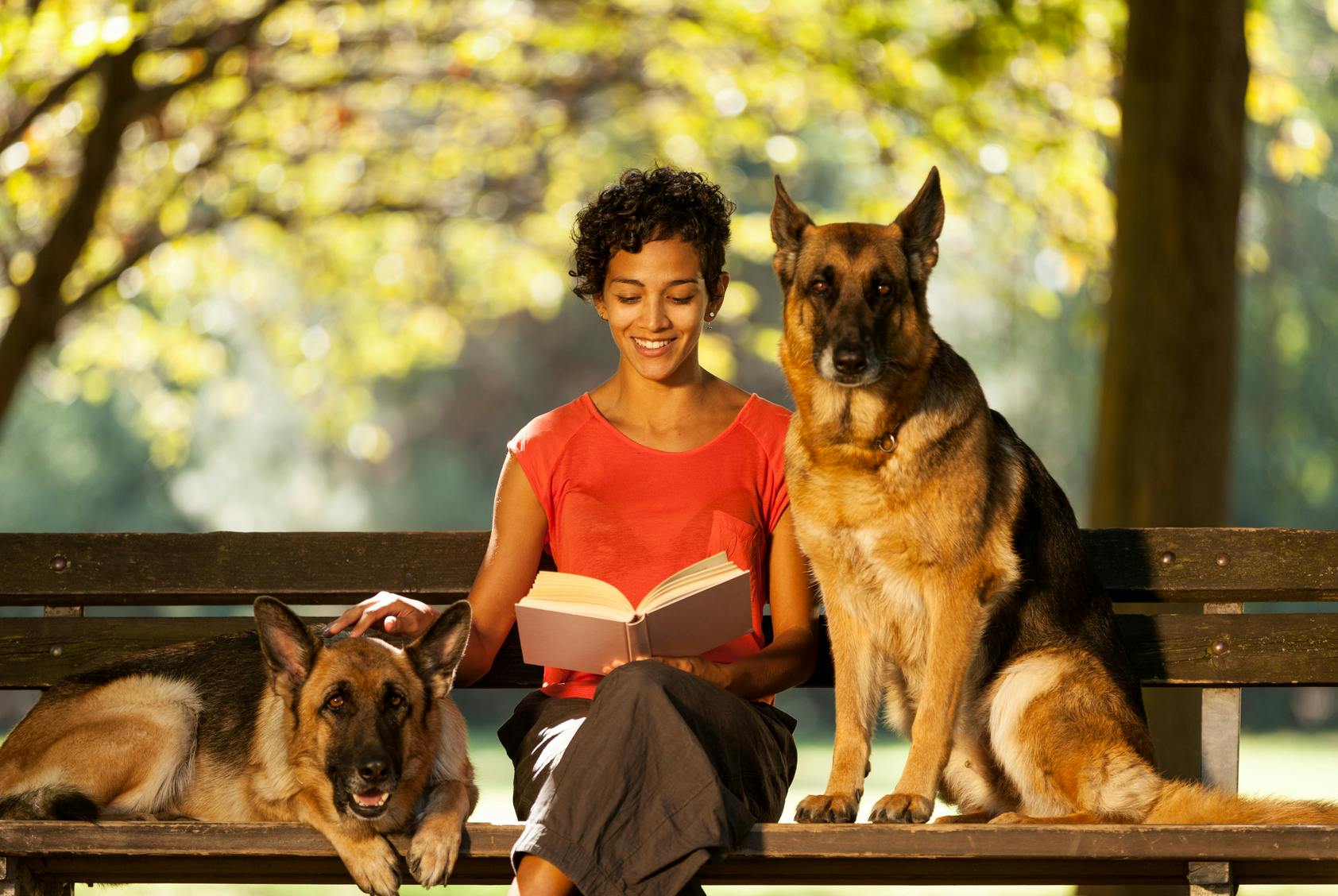 Finding A Pet Sitter finding-a-pet-sitter